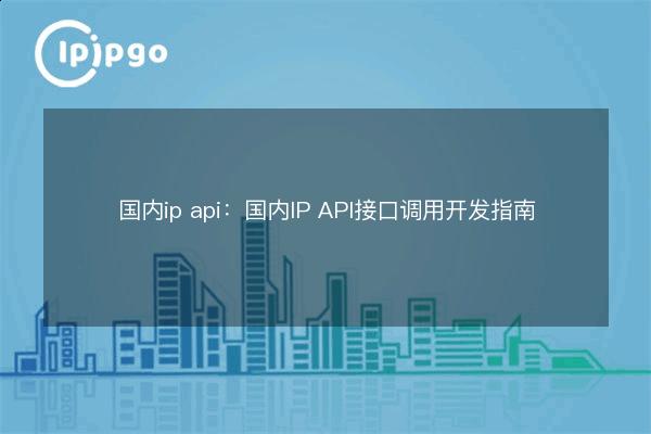 Domestic ip api : Guide de développement de l'appel d'interface de l'API domestique - IPIPGO