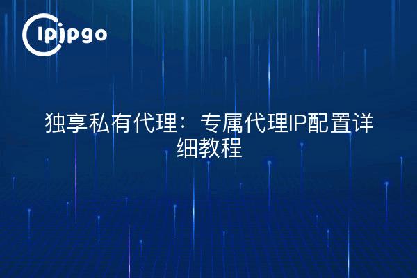 独享私有代理：专属代理IP配置详细教程 - IPIPGO