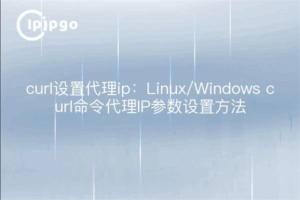 curl设置代理ip：Linux/Windows curl命令代理IP参数设置方法 - IPIPGO