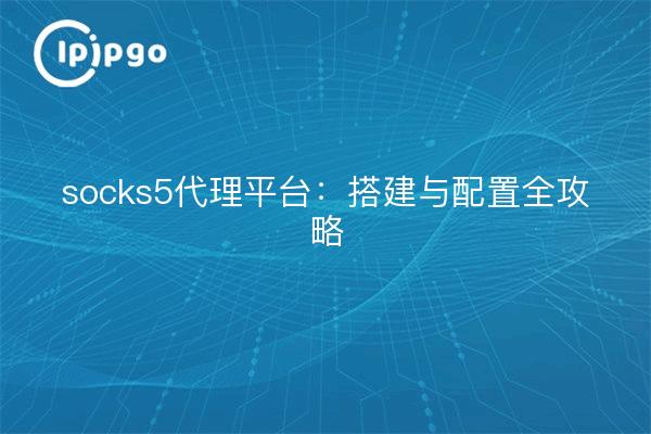 socks5代理平台：搭建与配置全攻略 - IPIPGO