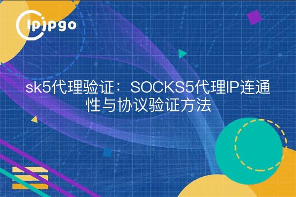 sk5代理验证：SOCKS5代理IP连通性与协议验证方法 - IPIPGO