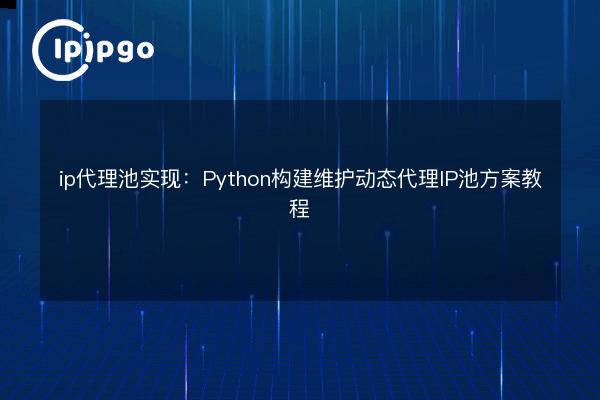ip代理池实现：Python构建维护动态代理IP池方案教程 - IPIPGO