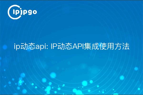 ip动态api: IP动态API集成使用方法 - IPIPGO