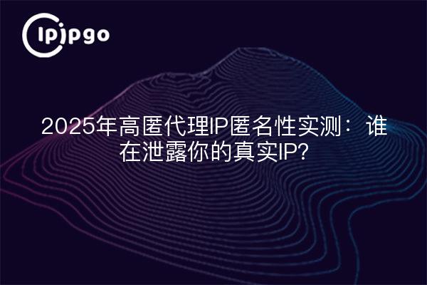 2025年高匿代理IP匿名性实测：谁在泄露你的真实IP？ - IPIPGO