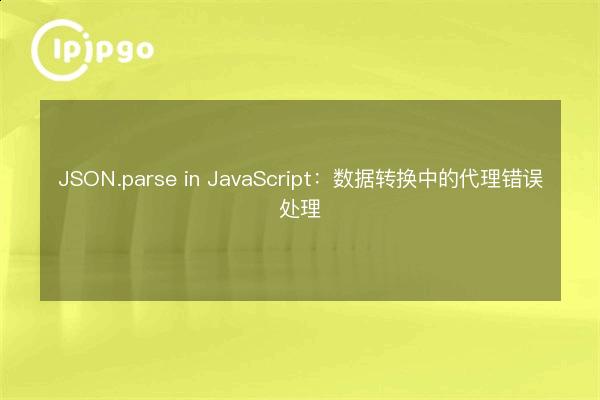 JSON.parse in JavaScript：数据转换中的代理错误处理 - IPIPGO