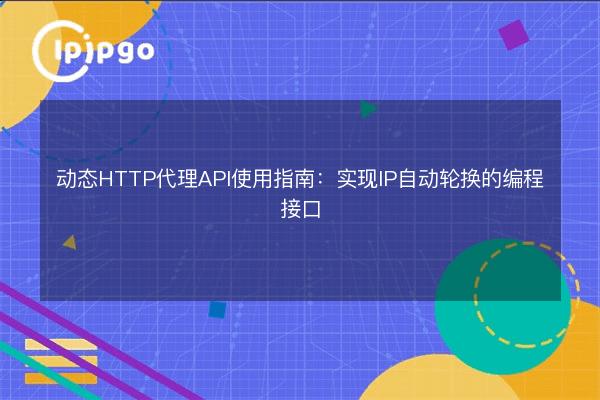 动态HTTP代理API使用指南：实现IP自动轮换的编程接口 - IPIPGO